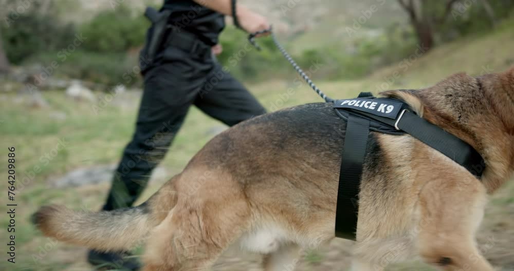 Policeman, dogs or patrol a crime scene on field, first responder or ...