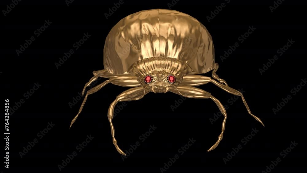 Golden Ladybird Beetle Bug - Crawling Loop - Front View CU - Alpha ...