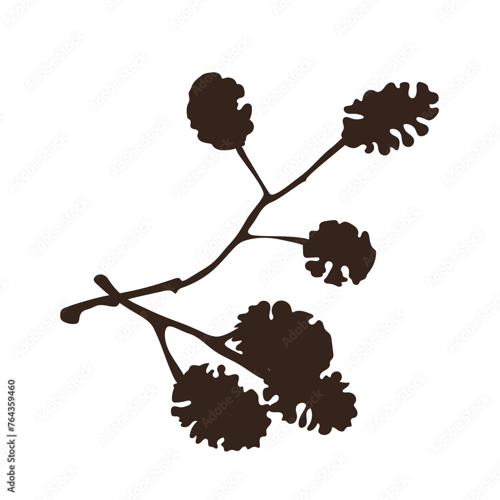 Alder Cones Icon, Alnus Cone Symbol, Dry Plant Branch Sign, Dry Alder ...