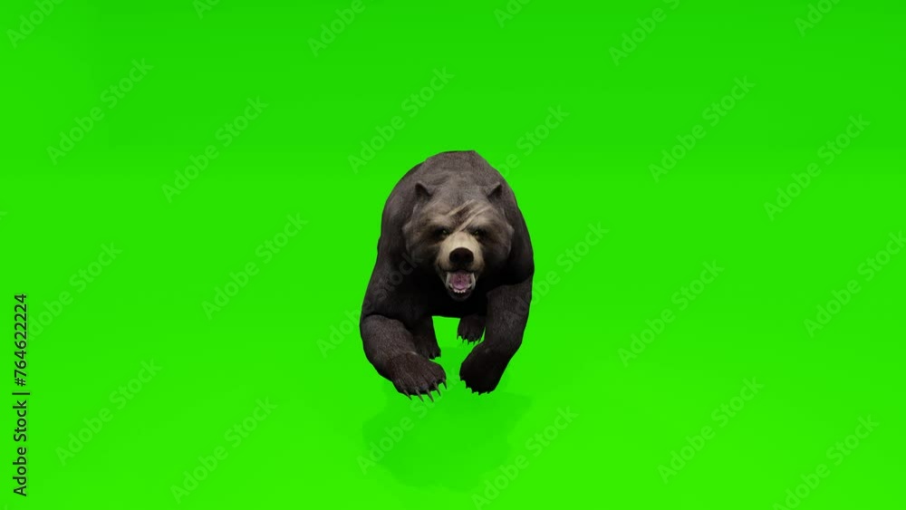 Mesmerizing footage: Powerful grizzly bear in motion against a dynamic ...