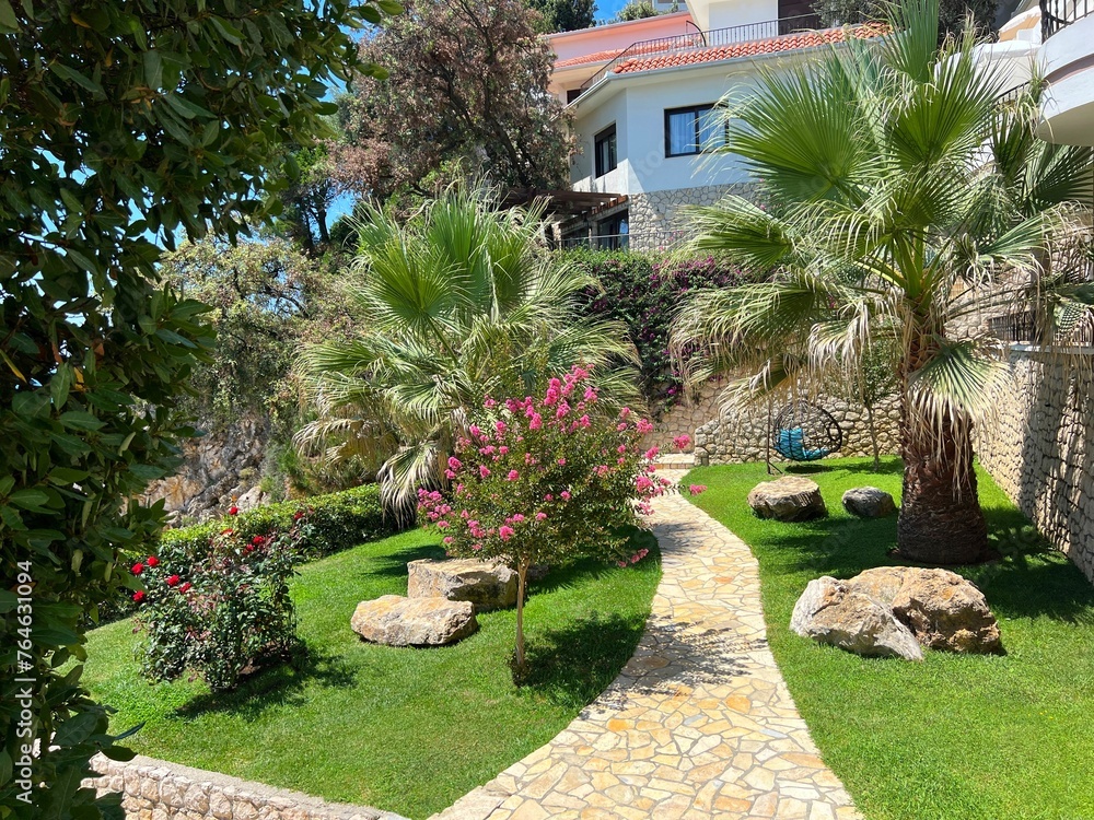 Mediterranean garden palm trees, crape myrtle and lawn at summer. Stock ...