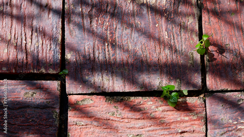 Garden floor tile. Photo taken during the day, with bright sunlight ...