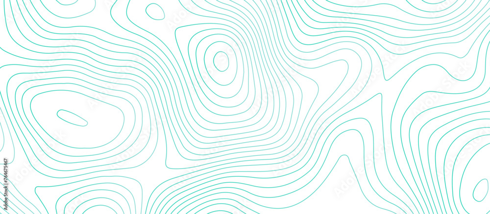 Topographic map background geographic line map pattern .panorama view ...