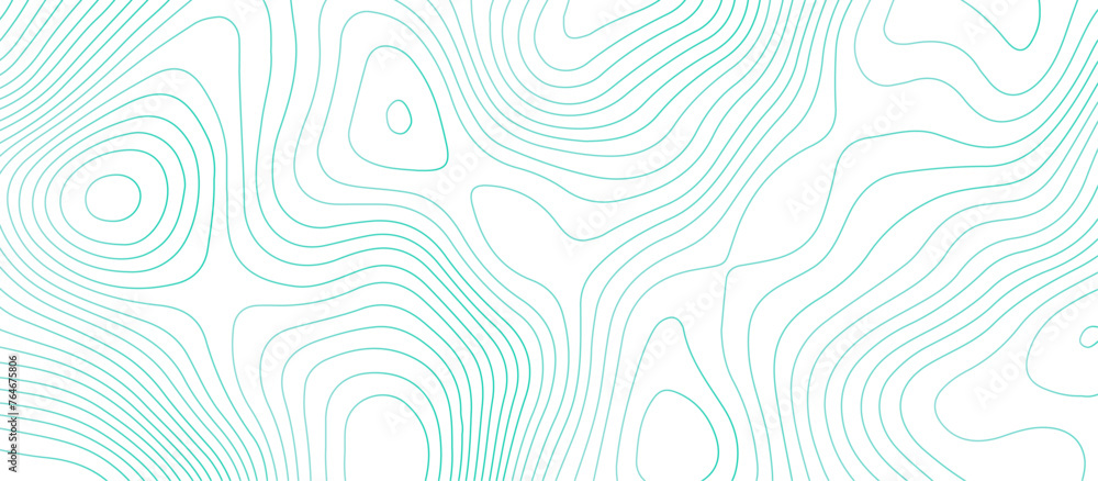 Topographic map background geographic line map pattern .panorama view ...