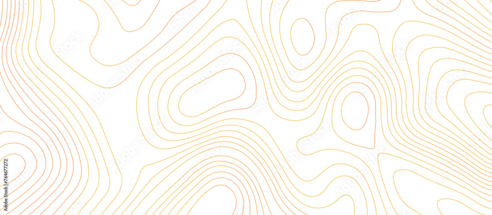 Topographic map background geographic line map pattern .panorama view ...