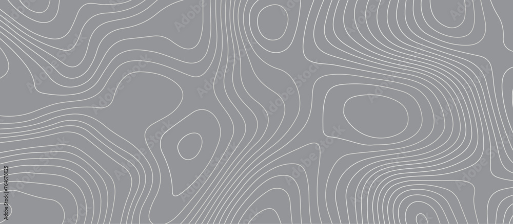 Topographic map background geographic line map pattern .panorama view ...