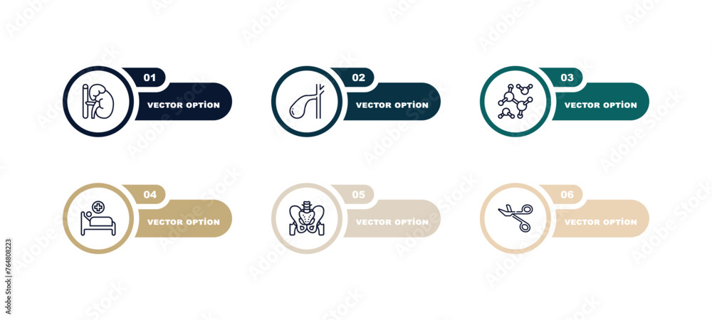 outline icons set from medical concept. editable vector included ...