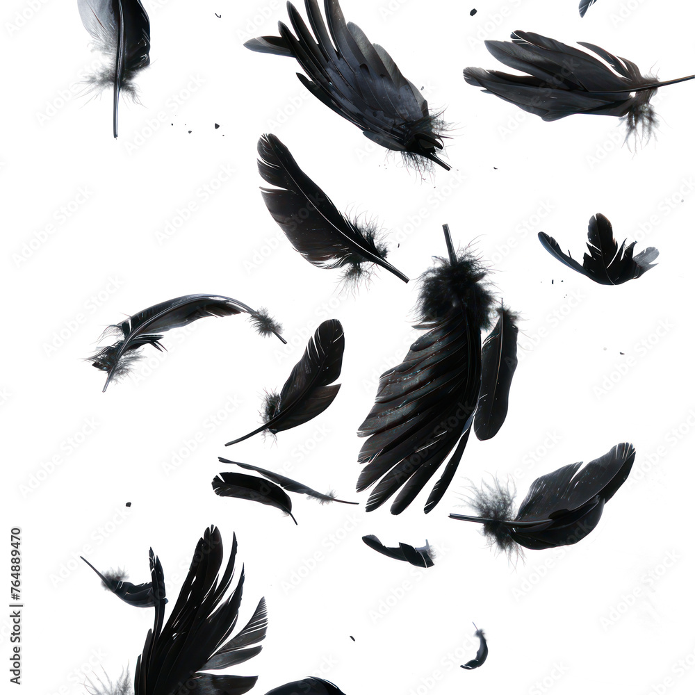 Crow feathers falling in air, isolated on transparent png. Stock Photo ...