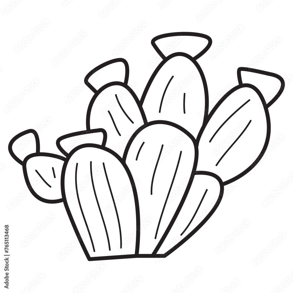 Cactus plant desert among.Mexican cactus. Desert spiny plant. Deserted ...