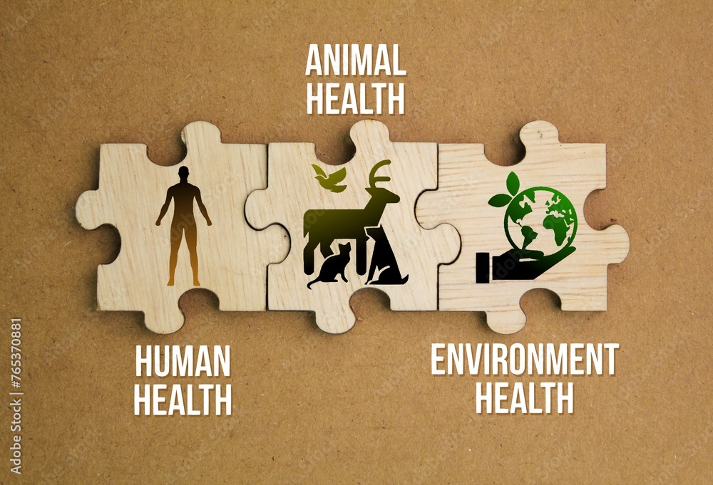 wooden puzzle with the words and icons of human health, animal health ...