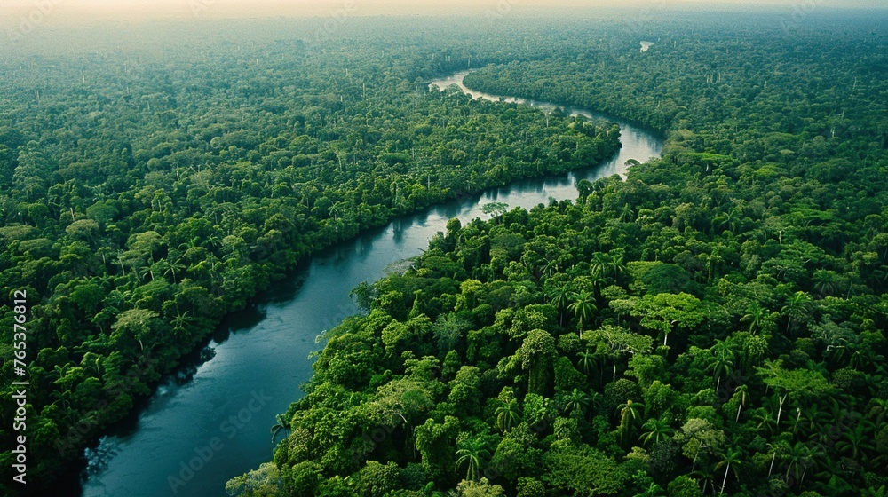 Preserving the Lungs of the Earth: Strategies for Amazon Rainforest ...