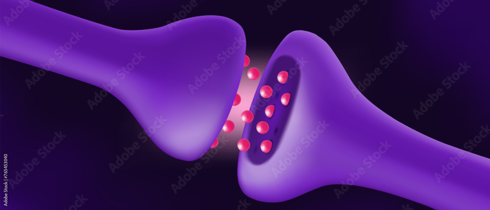 Chemical Synapse Vector Neuron Communication Synaptic Transmission