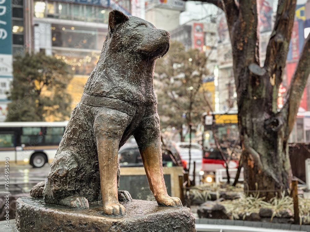 TOKYO, JAPAN - MARCH 12, 2024: Bronze statue of Hachikō at Shibuya ...