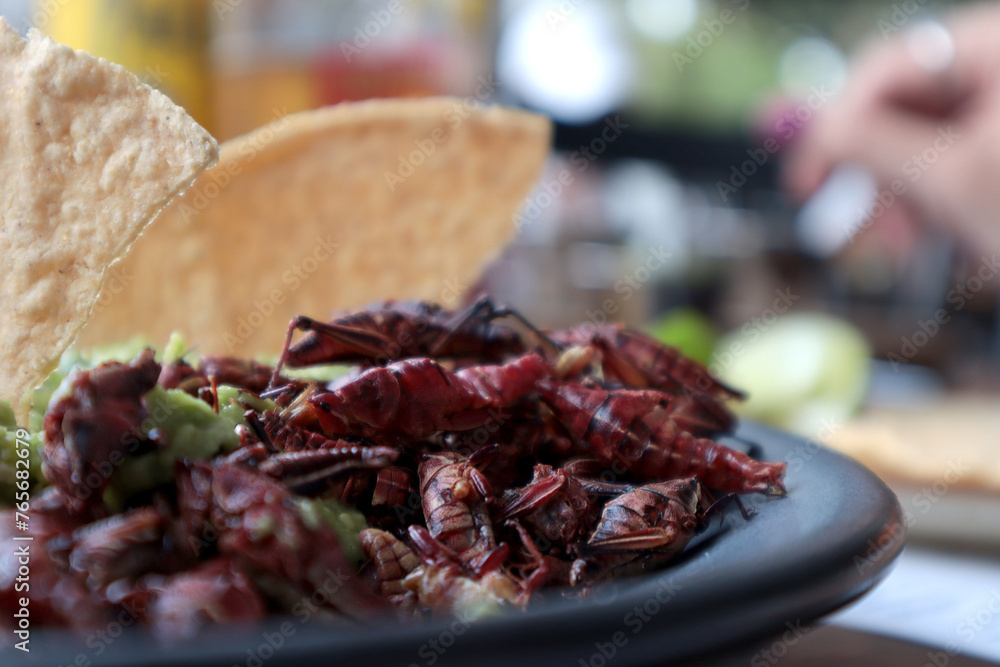 Plato de chapulines comida tipica de Mexico Stock Photo | Adobe Stock