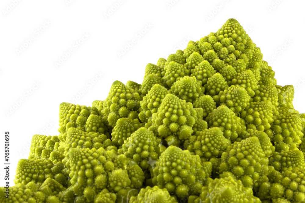 a biological example of Fibonacci spirals and fractals in nature using ...