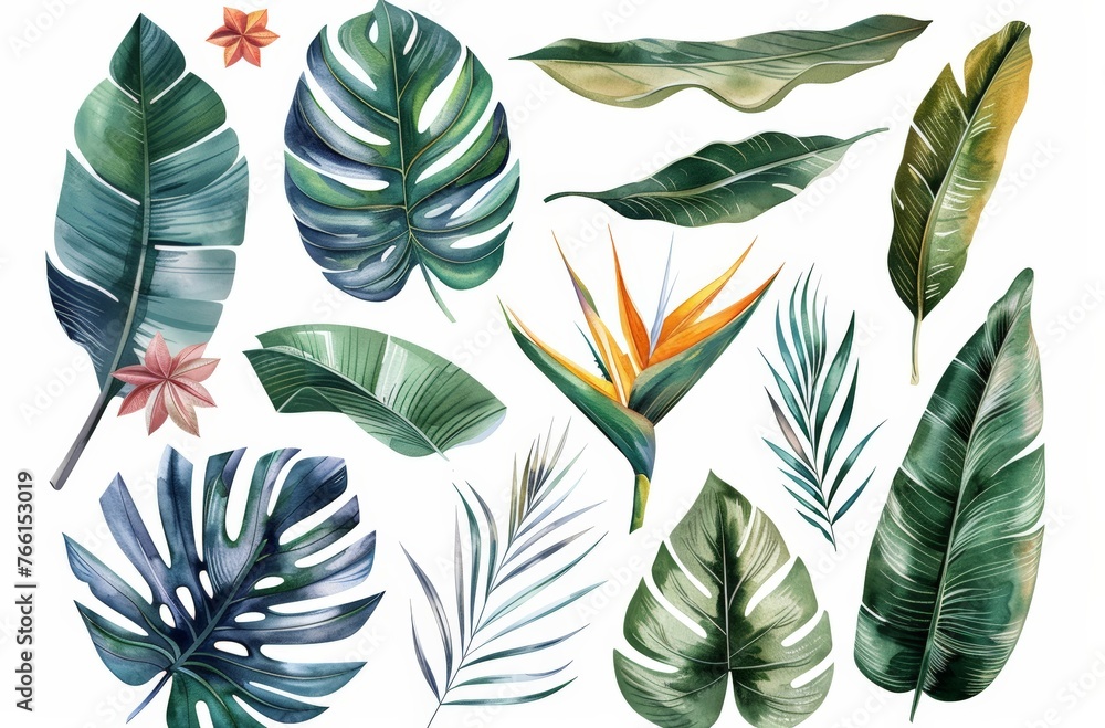 Collection of different types of leaves, showcasing a variety of shapes ...
