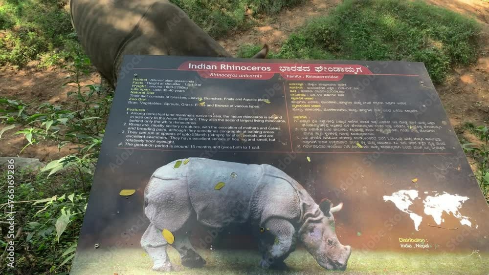 2 January 2023, Indian rhinoceros also called the Indian rhino greater ...