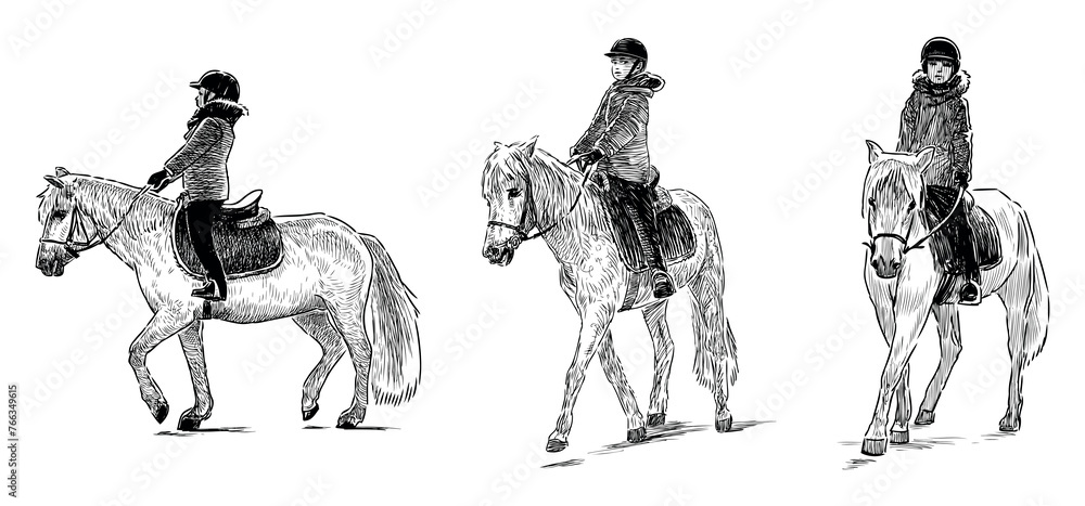 Equitation, child horseback riding, sport exercise, horse, harness ...