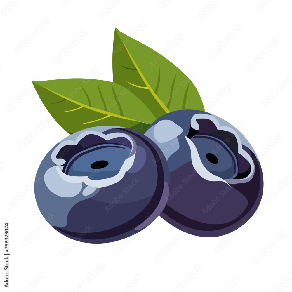 Healthy blue blueberry on white background. Isolated vector in flat ...