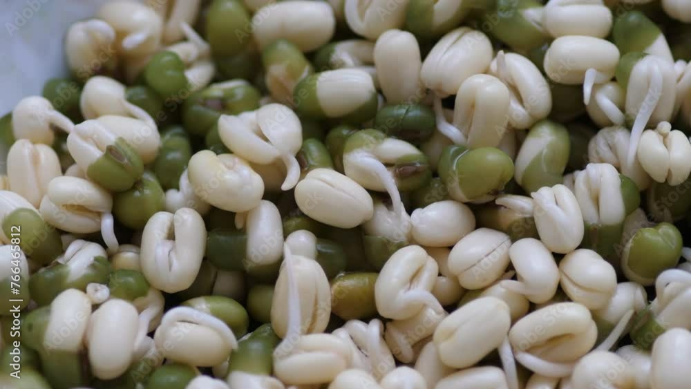 Vidéo Stock close-up of sprouted mung beans rotation. macro mung beans ...
