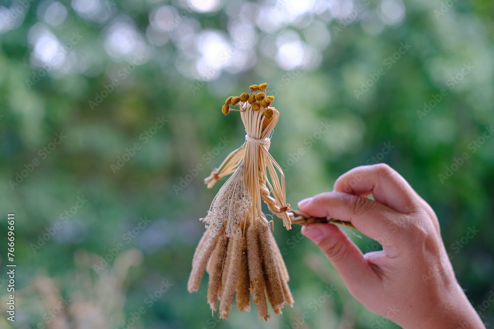 female hands holds ritual doll made of straw, grass in honor rich ...