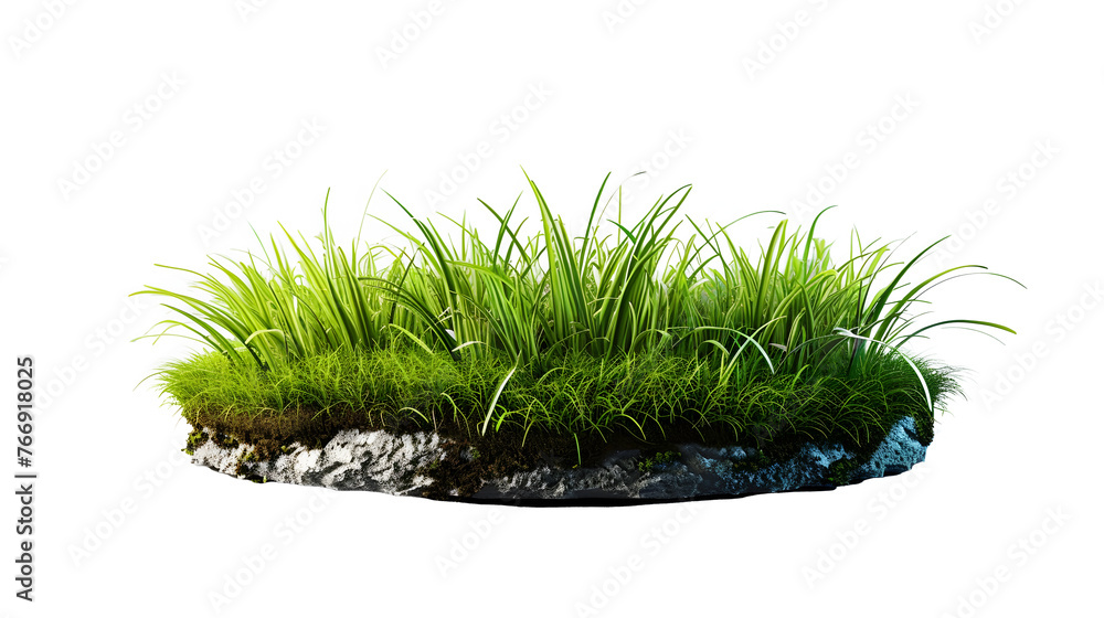 Grass 3D ground land green field earth garden soil isolated background ...