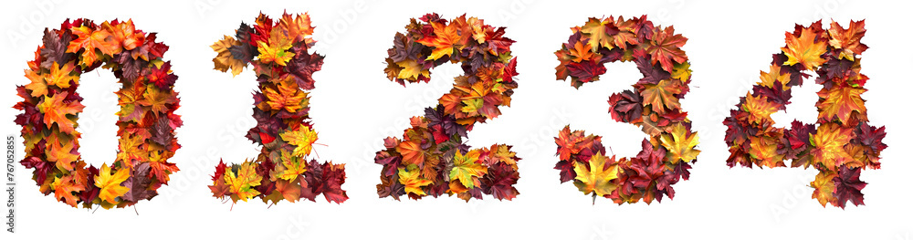Number 0, 1, 2, 3, 4 crafted from autumn leaves, with a mixture of red ...