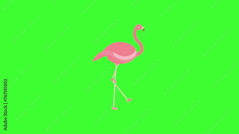 flamingo cartoon animation. flamingo icon on transparent background ...