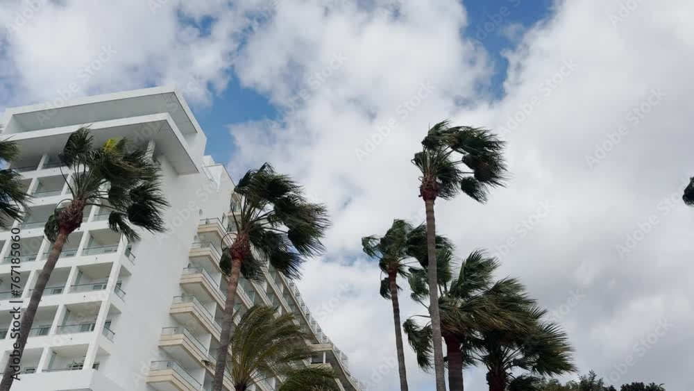 Tall palm trees stand against a cloudy sky, showcasing their flexible ...