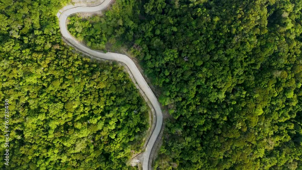 Descend through the verdant treetops with this tranquil drone footage ...