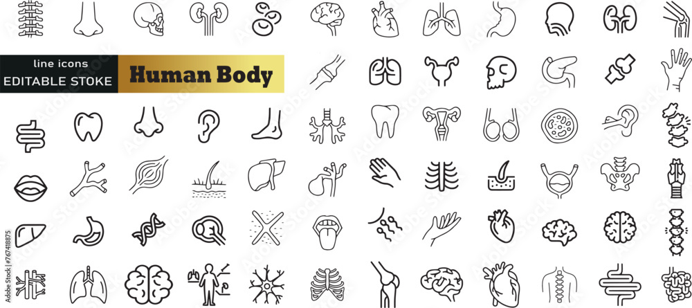 Human Body Line Editable Icons set. Vector illustration in modern thin ...