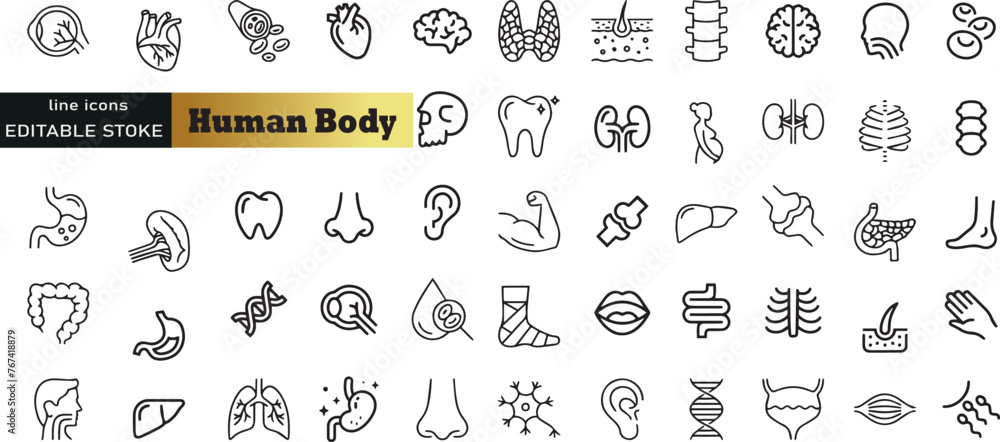 Human Body Line Editable Icons set. Vector illustration in modern thin ...