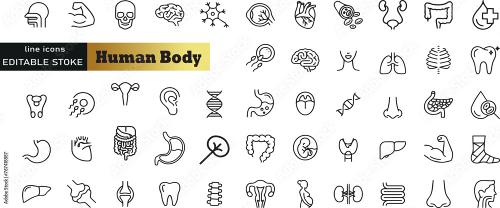 Human Body Line Editable Icons set. Vector illustration in modern thin ...