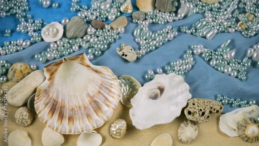 Imitation of the seabed. Oyster and scallop shells, sea pebbles and ...