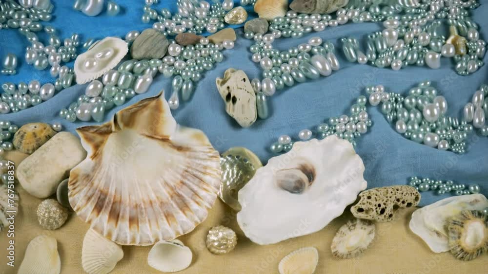 Imitation of the seabed. Oyster and scallop shells, sea pebbles and ...