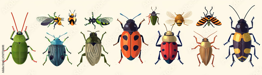 Insect Investigators Guild: Collecting and Studying Bugs and Insects ...