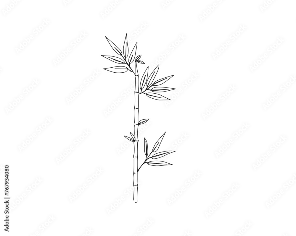 Continuous one line drawing of bamboo branch and leaves. Bamboo branch ...