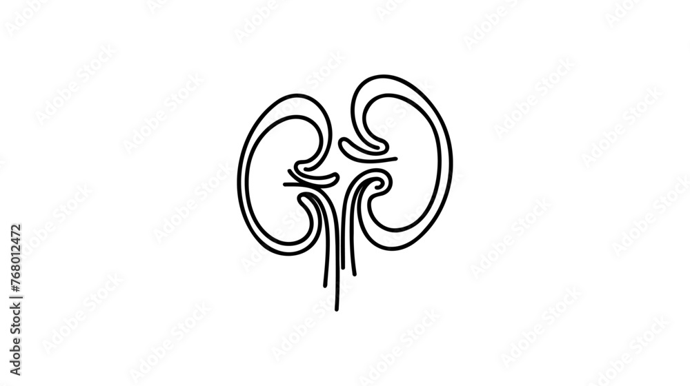 Human kidneys with ureters one line art. Continuous line drawing of ... Human kidneys with ureters one line art. Continuous line drawing of ...