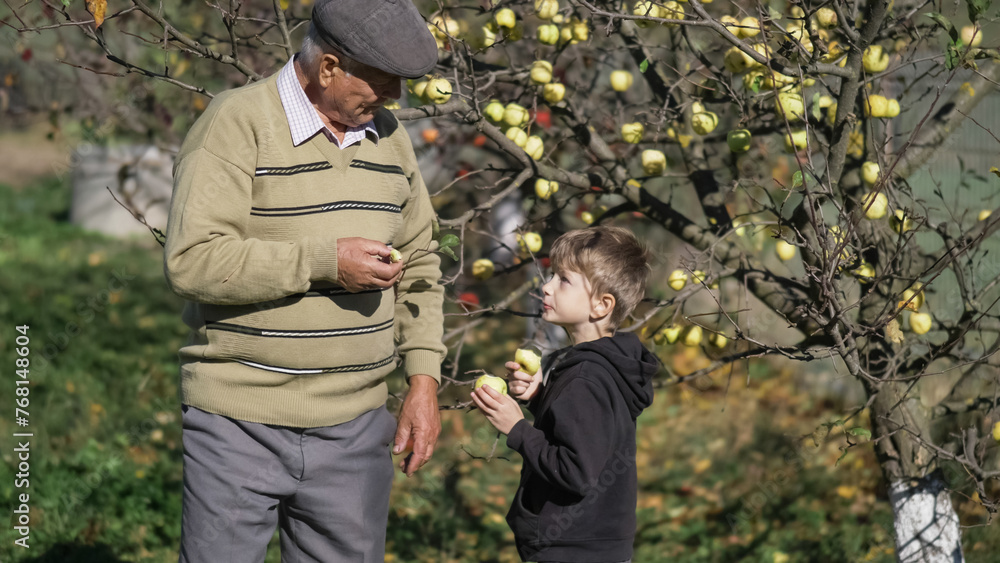 Portrait of old man and little boy eating apples under the tree Stock ...