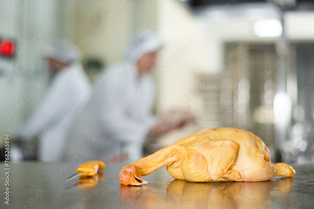 Raw dressed chicken lying with knife on stainless steel cutting table ...