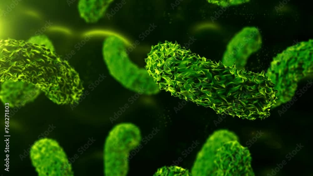 Floating lactobacillus bacteria, beneficial microorganisms, part of the ...