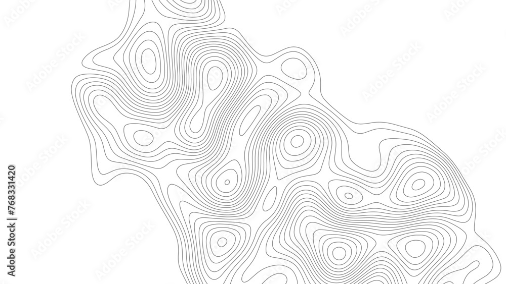 Topography Map Background Vector Banner Topography Map Background Vector Geographic Contour