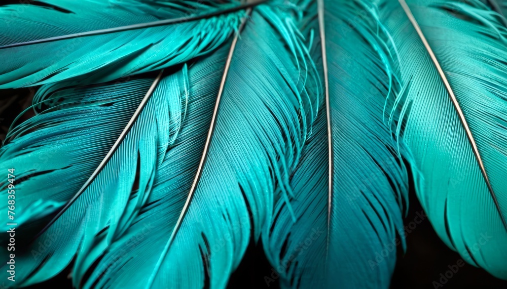 Blue feather, close-up. dark background, bright colors. Concept exotic ...