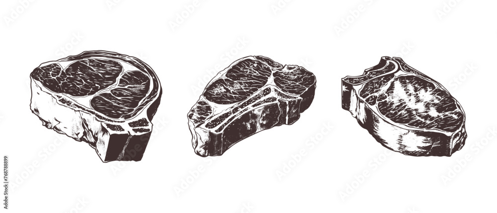 Hand drawn set meat steak grilled in vintage engraving style. Roast ...