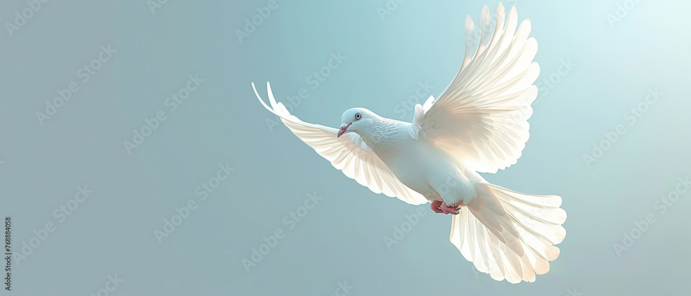An image capturing a delicate white dove in mid-flight bathed in a soft ...
