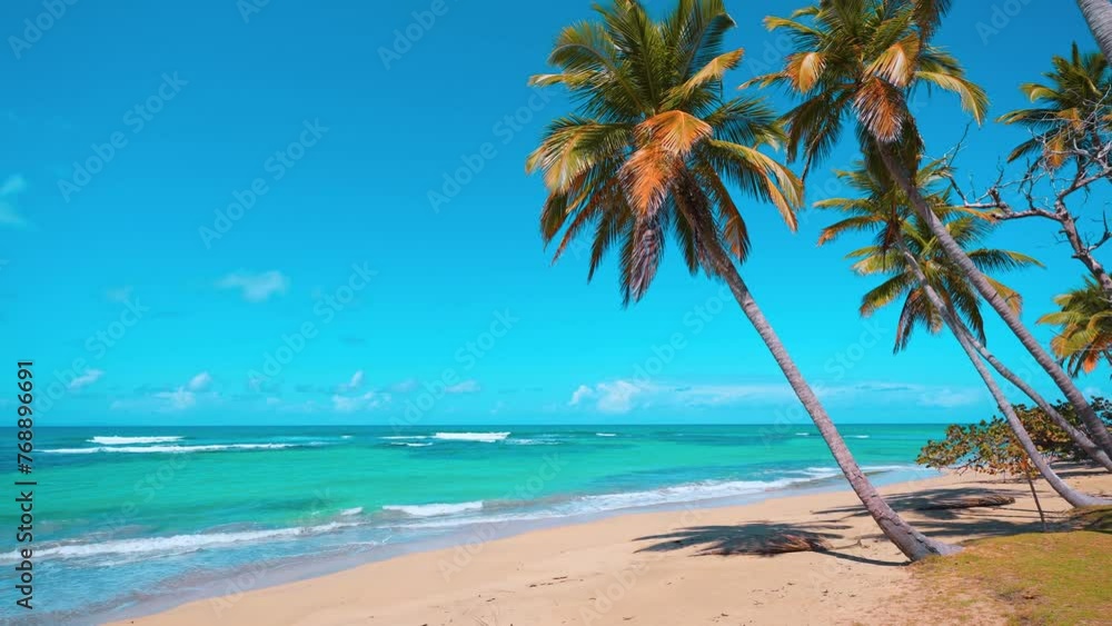 Exotic Hawaiian beach with tall palm trees on golden sand. Summer ...