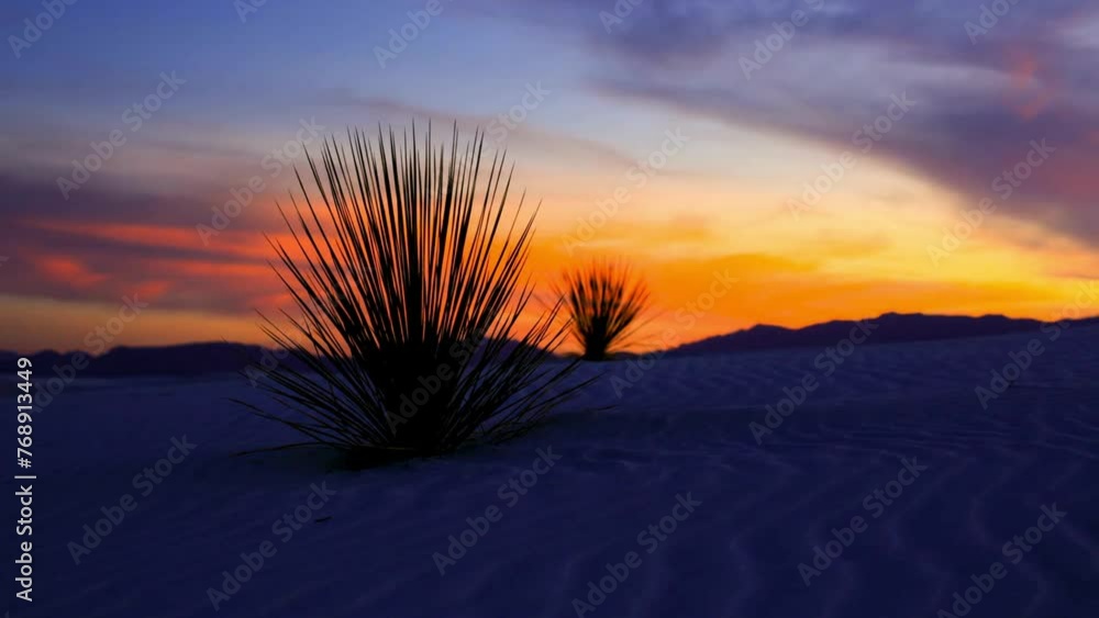 Explore the breathtaking landscapes of White Sands National Monument in ...