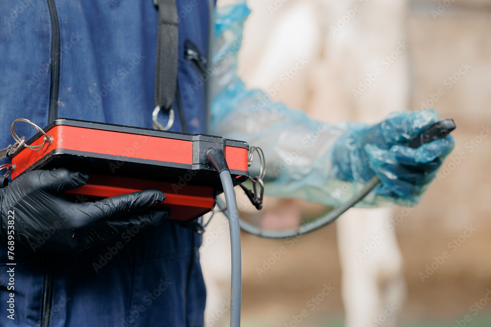 Farmer vet doctor young man use ultrasound device for rectal checking ...