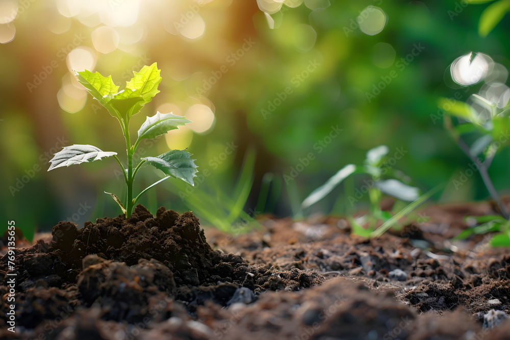 Sustainability background, climate change background, time to act ...