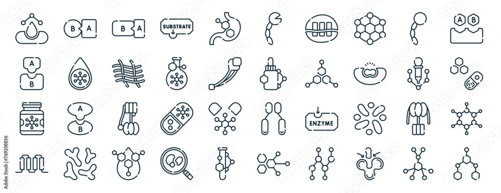 Vetor de set of 40 outline web enzymes icons such as enzyme, enzyme ...